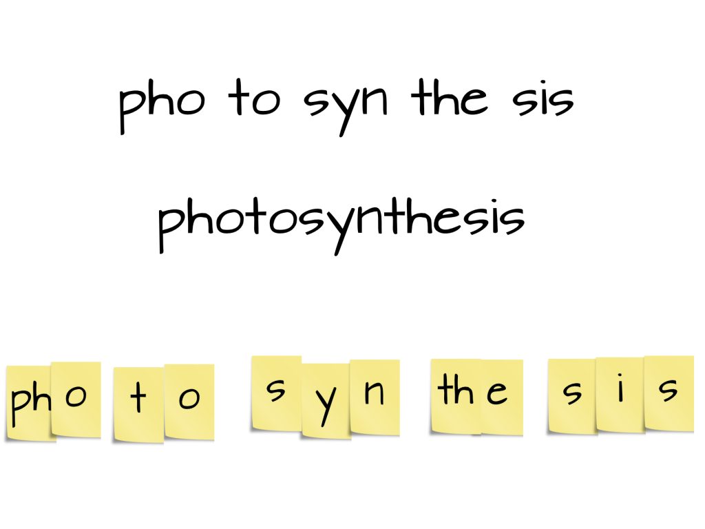 Spelling Photosynthesis